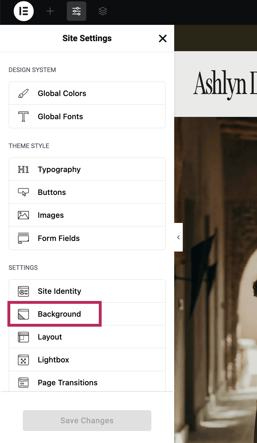 Ashlyn Theme Documentation