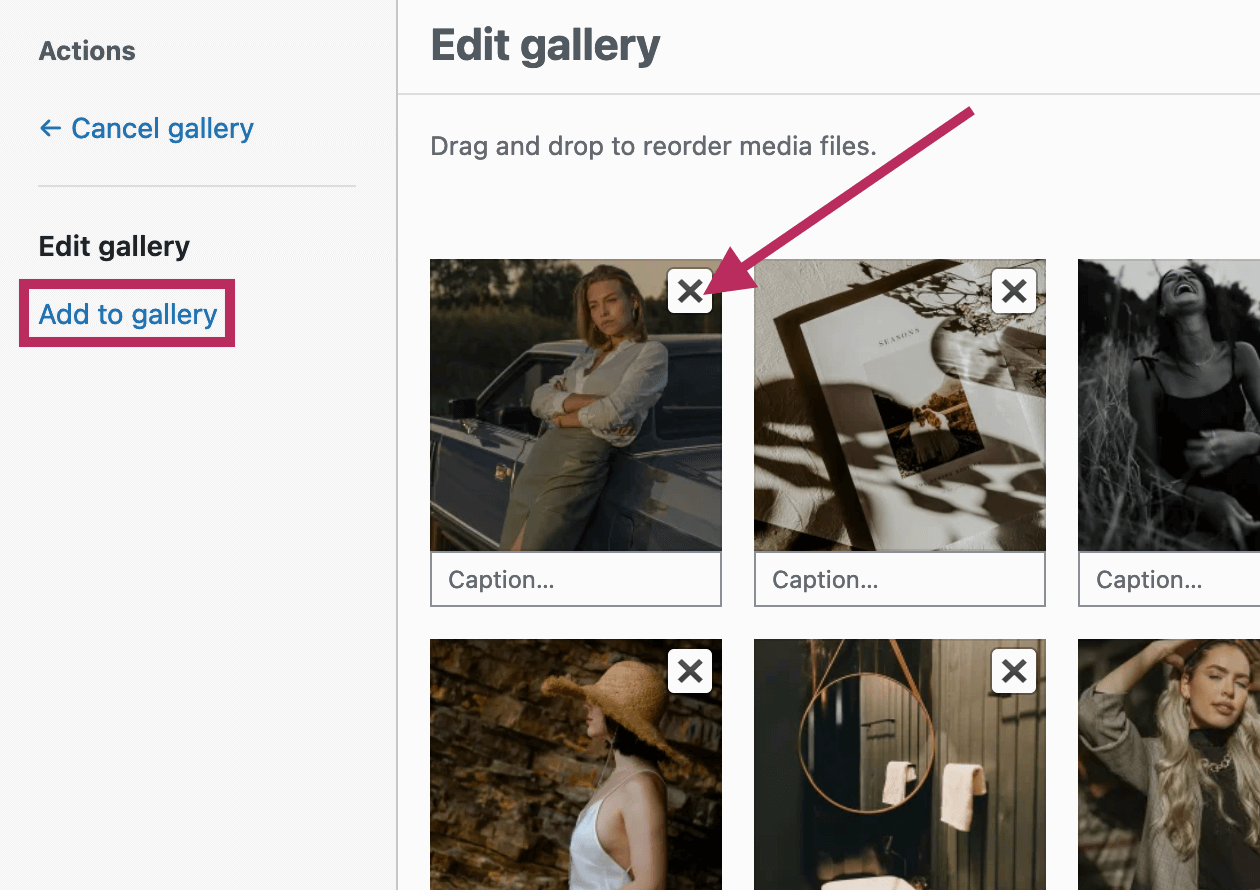 Ashlyn Theme Documentation