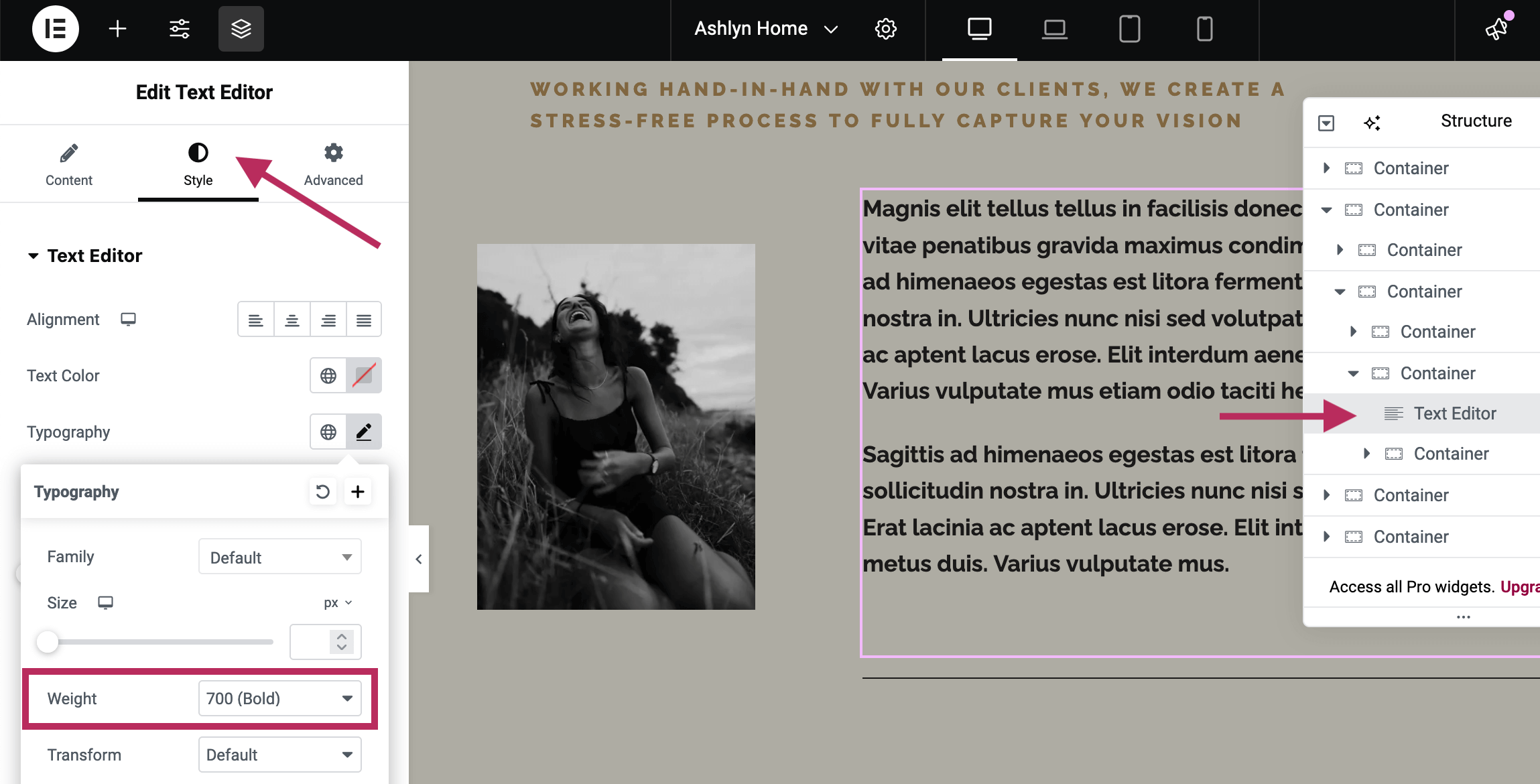 Ashlyn Theme Documentation