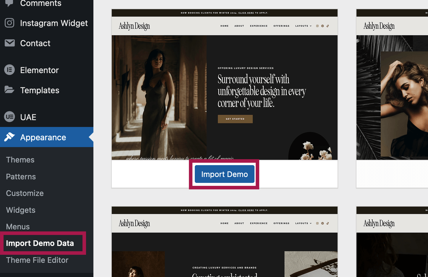 Ashlyn Theme Documentation
