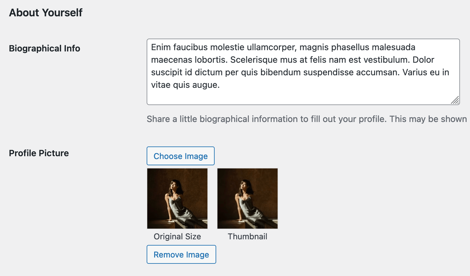 Ashlyn Theme Documentation